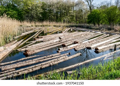 3,567 Floating timber Images, Stock Photos & Vectors | Shutterstock