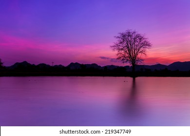 227 Loch lomond lone tree Images, Stock Photos & Vectors | Shutterstock
