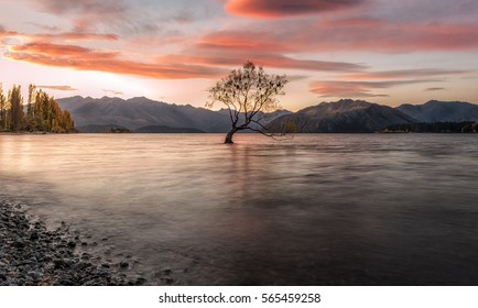 52 Flok art Images, Stock Photos & Vectors | Shutterstock