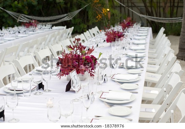Long Party Table Outdoor Setting Stock Photo (Edit Now) 18378976