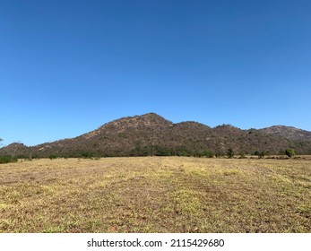 266 Long time without water Images, Stock Photos & Vectors | Shutterstock
