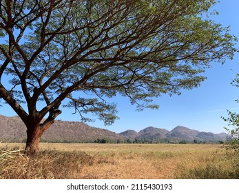 266 Long time without water Images, Stock Photos & Vectors | Shutterstock