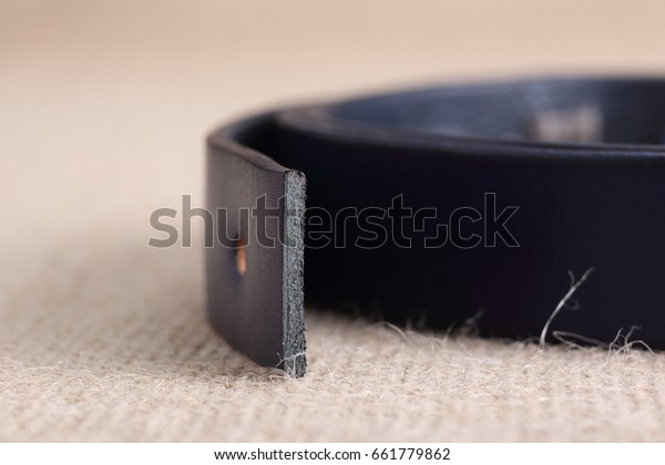Longitudinal Section Belt Stock Photo 661779862 | Shutterstock