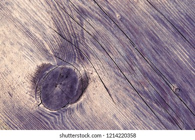 Longitudinal Section Tree Knot Tree Structure Stock Photo 1214220358 ...