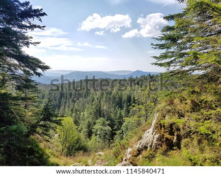 Looking Down Forest On Mountain Scandinavia Stock Photo (Edit Now ...
