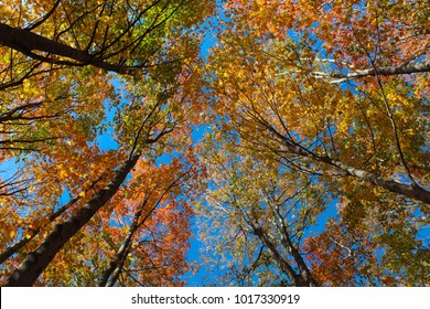 Stock Photo and Image Portfolio by Dylan Galbraith | Shutterstock