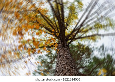962 Dizzy effect Stock Photos, Images & Photography | Shutterstock