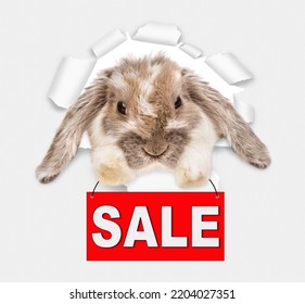 924 Ragged Ears Images, Stock Photos & Vectors | Shutterstock