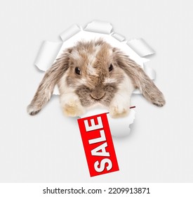 924 Ragged Ears Images, Stock Photos & Vectors | Shutterstock