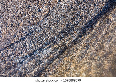 Lots Tiny Shells Cover Beach Bear Stock Photo 1598899099 | Shutterstock
