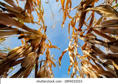 2,520 Wideangle view Images, Stock Photos & Vectors | Shutterstock