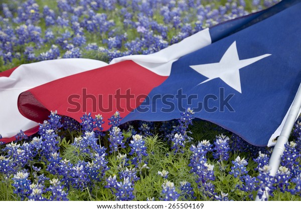 Low Angle View Texas Flags Laying Stock Photo (Edit Now) 265504169