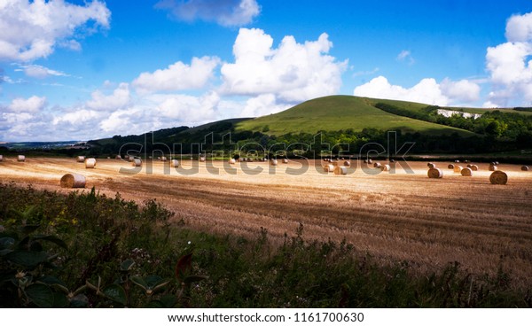 Low View Point Looking Across Rolling Stock Photo 1161700630 | Shutterstock