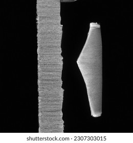 Luffa Profile Using Scanning Electron Magnet Imagen generada por IA ...