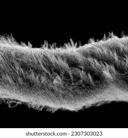 Luffa Profile Using Scanning Electron Magnet Imagen generada por IA ...