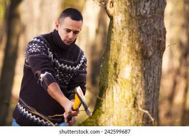 Lumberjack Cutting Tree Axe Forest Stock Photo 242599687 | Shutterstock