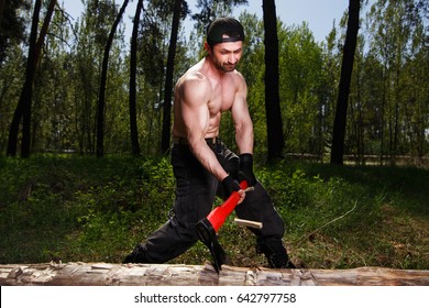 621 Ripping lumber Images, Stock Photos & Vectors | Shutterstock