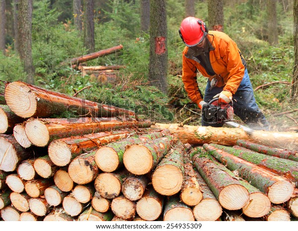 Lumberjack Working Forest Stock Photo (Edit Now) 254935309