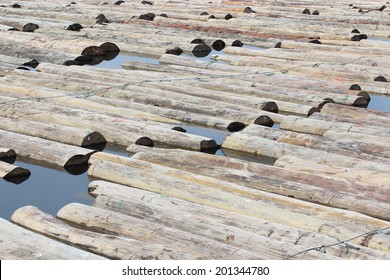3,736 Floating log Images, Stock Photos & Vectors | Shutterstock