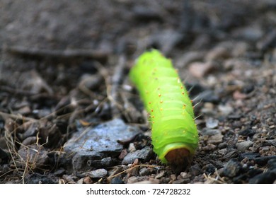 Stock Photo and Image Portfolio by Skye Watts | Shutterstock