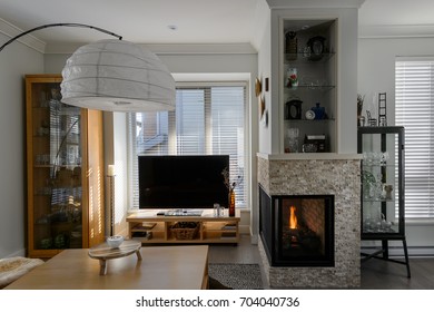 Luxury Rustic Living Room Interior Design Stock Photo 704040736 ...