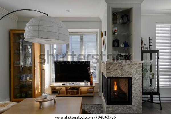 Luxury Rustic Living Room Interior Design Stock Photo 704040736 ...