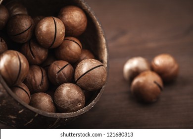 2,906 Queensland nut Images, Stock Photos & Vectors | Shutterstock
