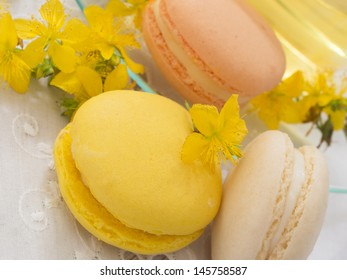 Face Mask Avocado Honey Yogurt Stock Photo 672198631 | Shutterstock