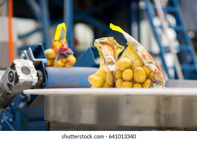 Machine Fruit Vegetable Wholesale Sorting Packing Stock Photo 641013340 ...