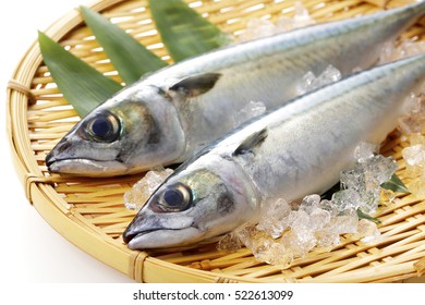Mackerel Stock Photo 522613099 | Shutterstock