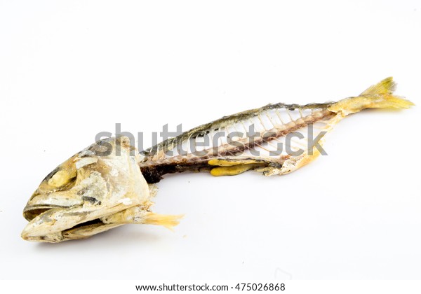 Mackerel Fish Bone Isolated White Background Stock Photo 475026868 | Shutterstock