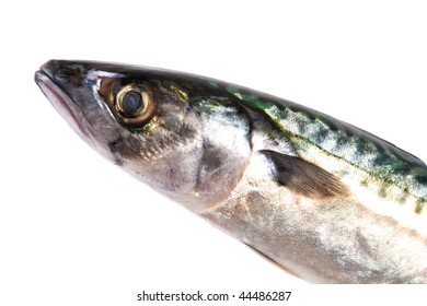 7,839 Mackerel heads Images, Stock Photos & Vectors | Shutterstock