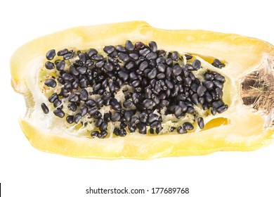 Macro Closeup Inside Barrel Cactus Fruit Stock Photo 177689768 ...