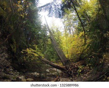 Stock Photo and Image Portfolio by JayThomImagery | Shutterstock