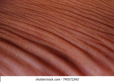 175,696 Human skin color Stock Photos, Images & Photography | Shutterstock