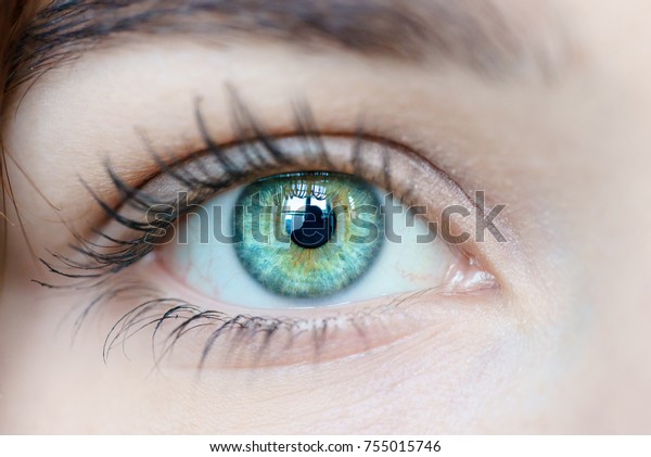 Macro Image Human Eye Stock Photo (Edit Now) 755015746