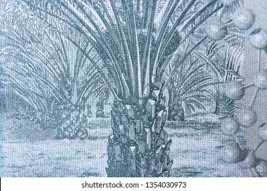 7,311 Money palm tree Images, Stock Photos & Vectors | Shutterstock