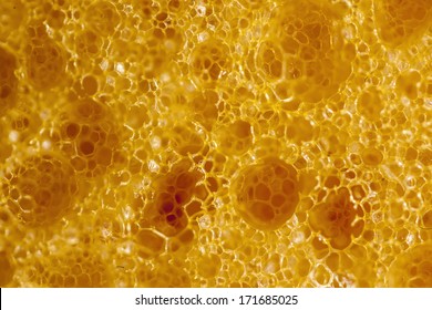 33,013 Sponge macro Images, Stock Photos & Vectors | Shutterstock