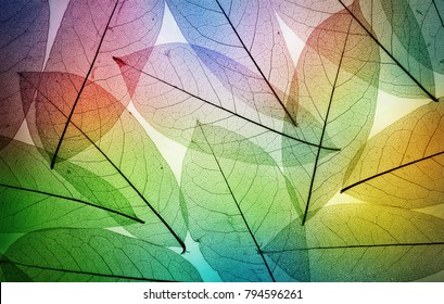 Macro Leaves Background Texture Stock Photo 794596261 | Shutterstock