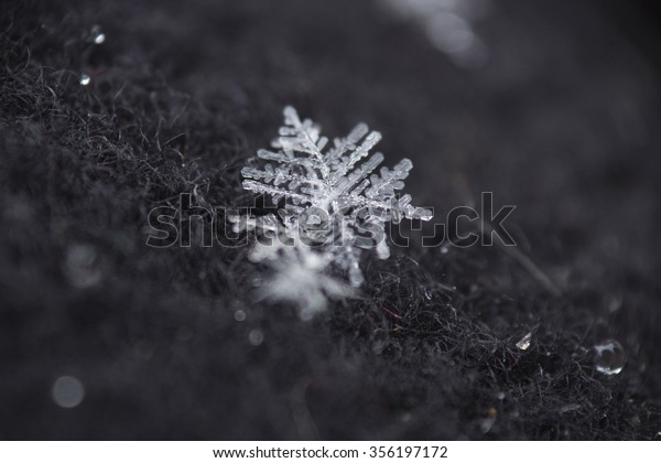 Macro Shot Snowflake Stock Photo (Edit Now) 356197172