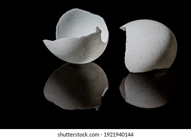 75 Out Gecko Egg Shells Images, Stock Photos & Vectors | Shutterstock