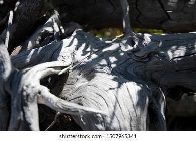 Stock Photo and Image Portfolio by AlisonMcFadden | Shutterstock