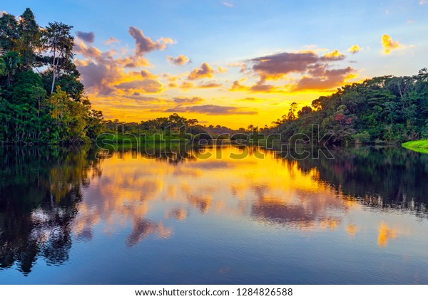 Un mágico atardecer en la selva amazónica dentro del parque nacional ...