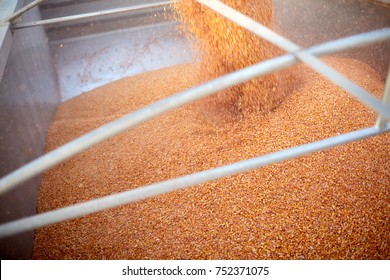 2,684 Maize storage Images, Stock Photos & Vectors | Shutterstock