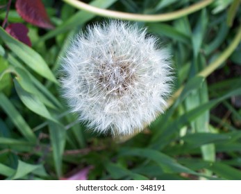 Stock Photo and Image Portfolio by Heather Wrisley | Shutterstock