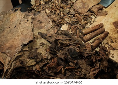 Making Cigars Cigar Master Class Stock Photo 1593473755 | Shutterstock