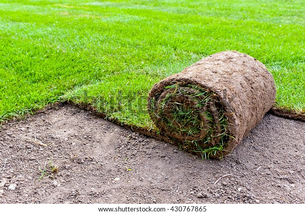 Making New Lawn Using Roll Grass Stock Photo (Edit Now) 430767865