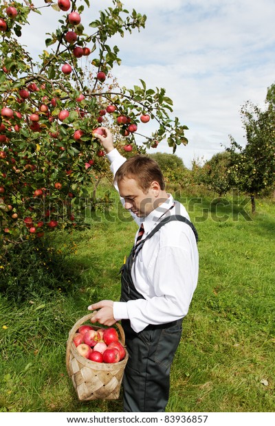 Man Apple Tree Stock Photo 83936857 | Shutterstock