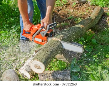 Man Chainsaw Cutting Tree Stock Photo 89331268 | Shutterstock