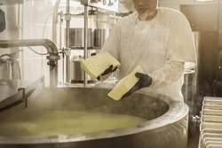 Cheese production factory, an Industrial Photo by REDDOT Studio